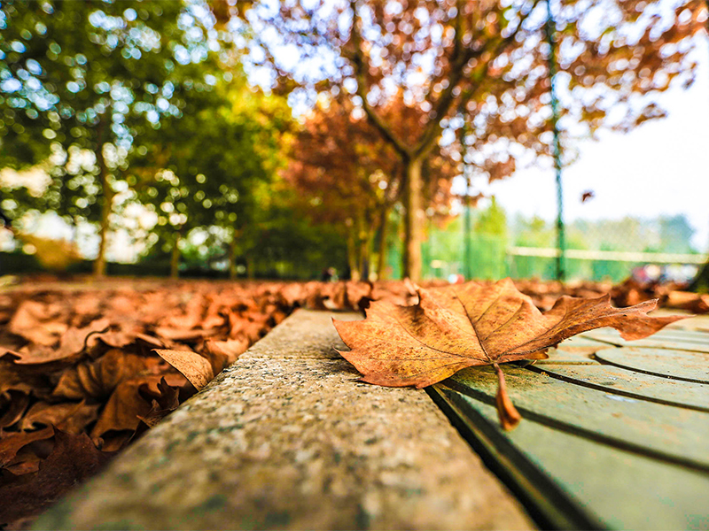 南京中外合作办学2+2出国留学费用 - OSSD-Alevel国际高中学校中加班-南京理工大学国际本科预科1+3