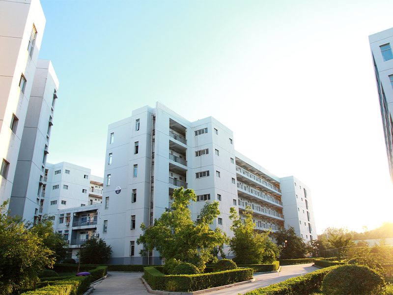 方式 | 南京中日班，另一条中国高考考试外的升学发展方向 - OSSD-Alevel国际高中学校中加班-南京理工大学国际本科预科1+3