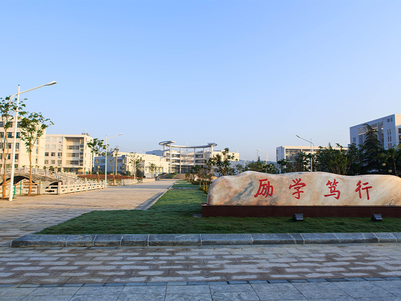 常州威雅国际学校 - OSSD-Alevel国际高中学校中加班-南京理工大学国际本科预科1+3